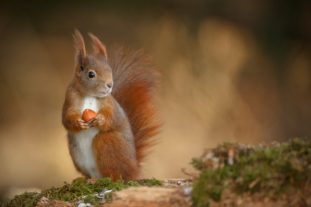 A List of Things That Repel Success and Money