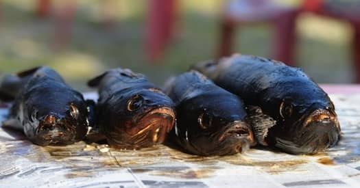 A Fish Rots From the Head Down (a Note to the Sales Leader)